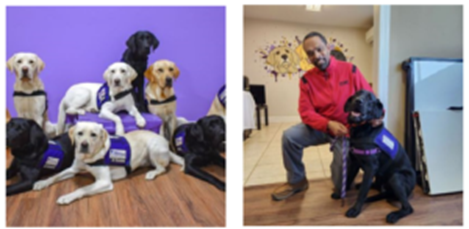 Support for Our Veterans: Paws for Purple Hearts – The Coalition for ...
